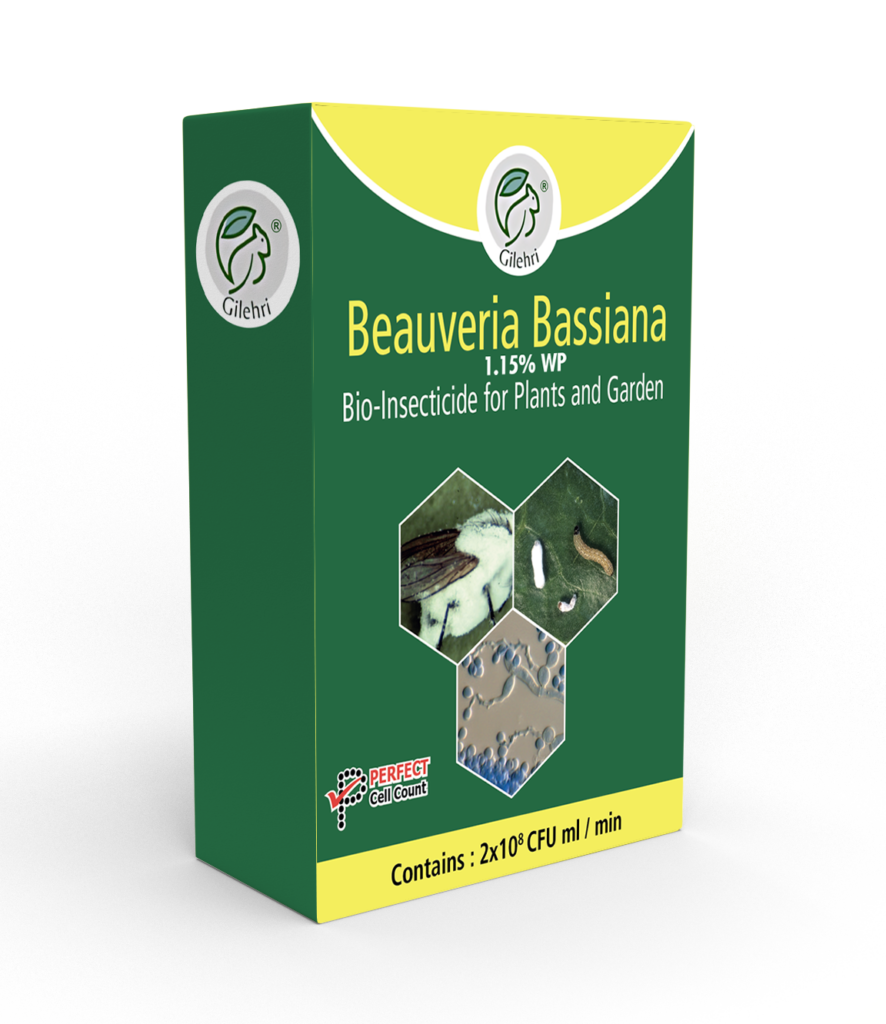 Beauveria Bassiana Gilehri Organics