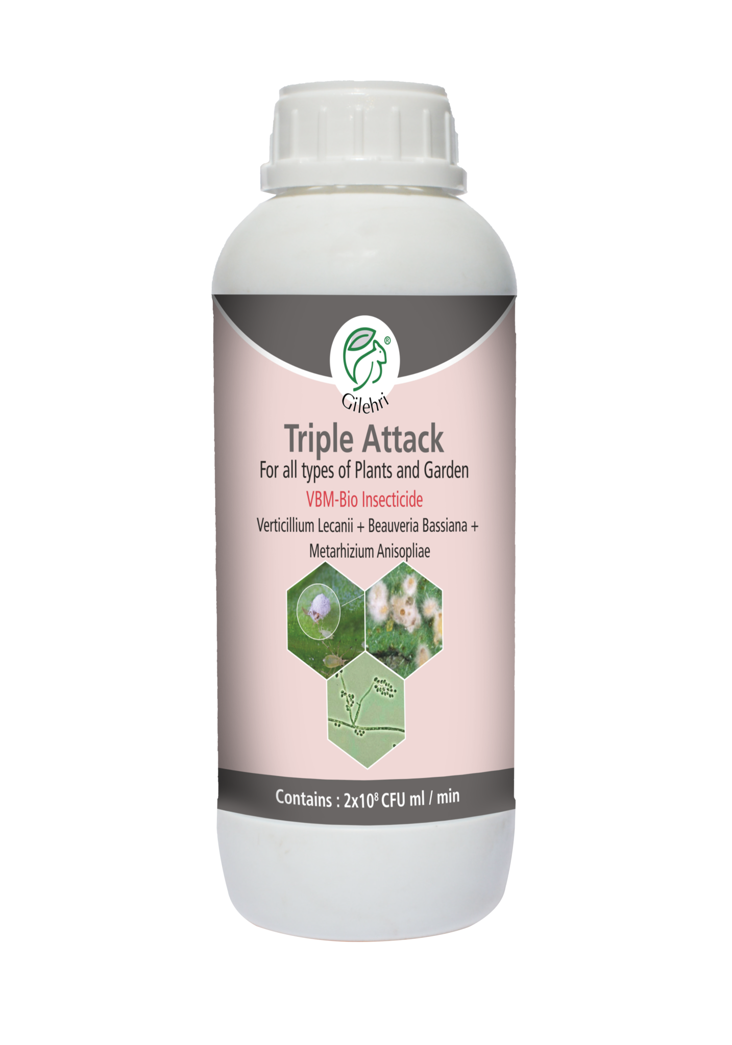 Triple Attack – Gilehri Organics